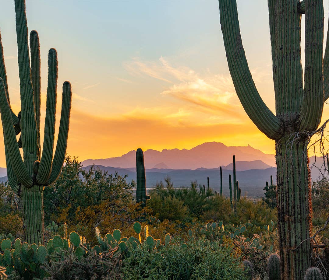 Things to Do in Tucson, Arizona: The Perfect 3-Day Weekend - Men's Journal