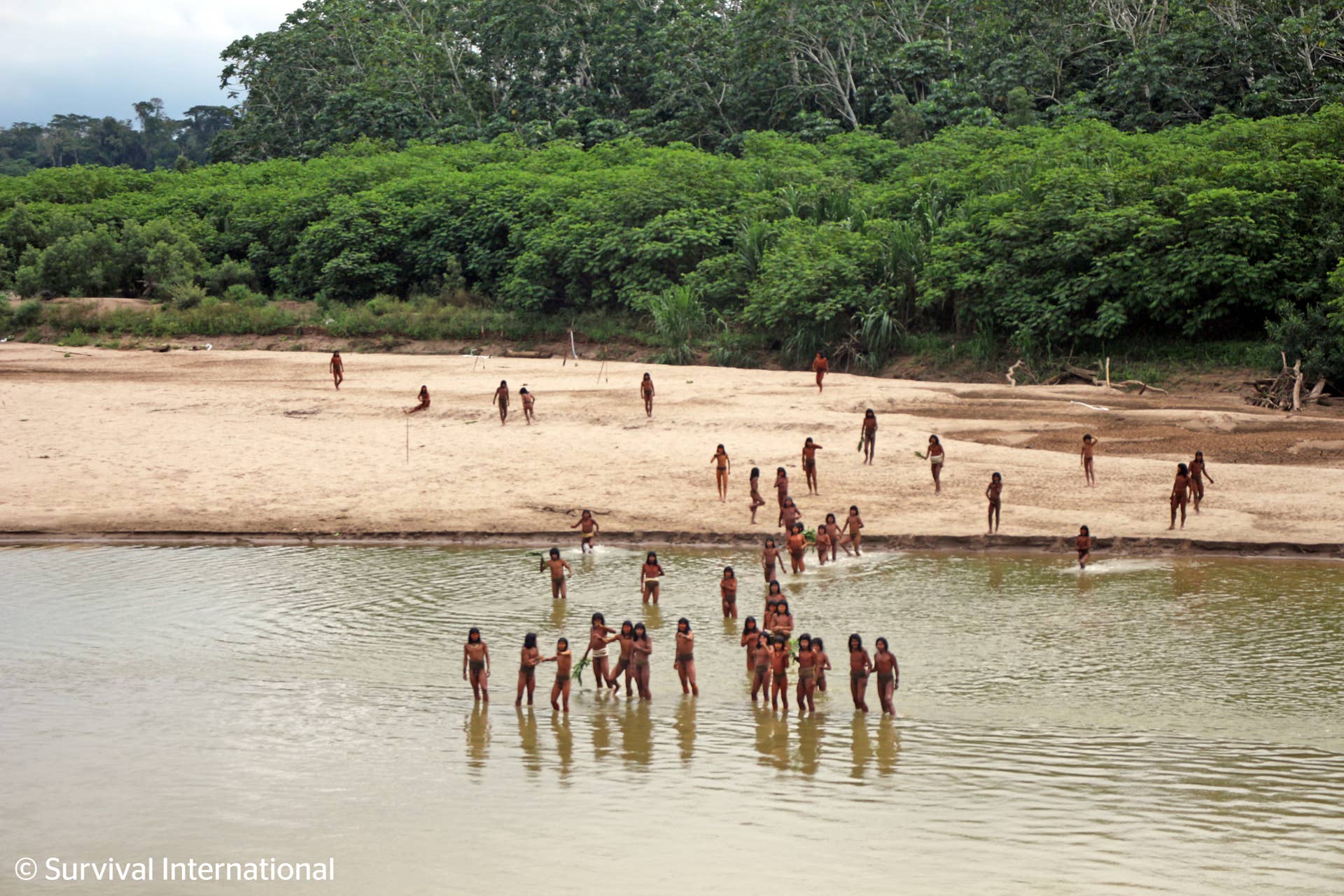 Rare Video, Images Show World’s Largest Uncontacted Indigenous Tribe ...