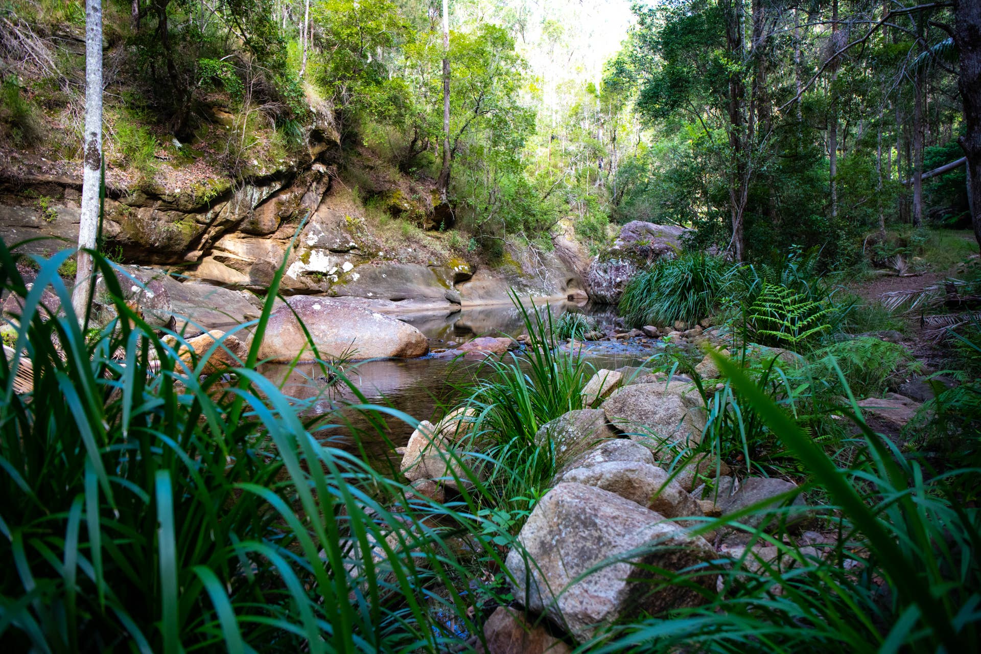 Bluey's Guide to the Best Destinations in Australia - Men's Journal