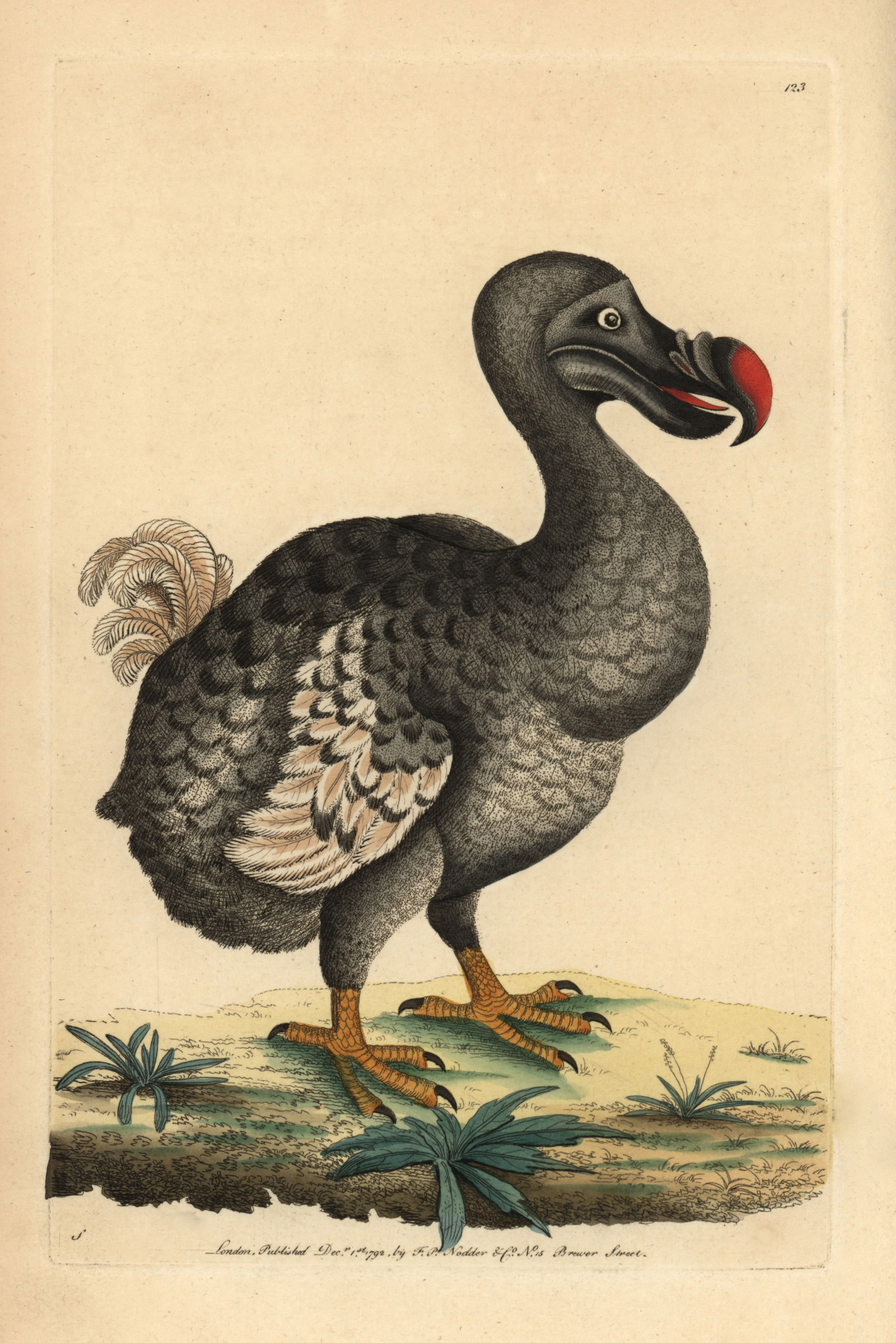 Can Dire Wolf Scientists Bring Back the Dinosaurs & Woolly Mammoth ...