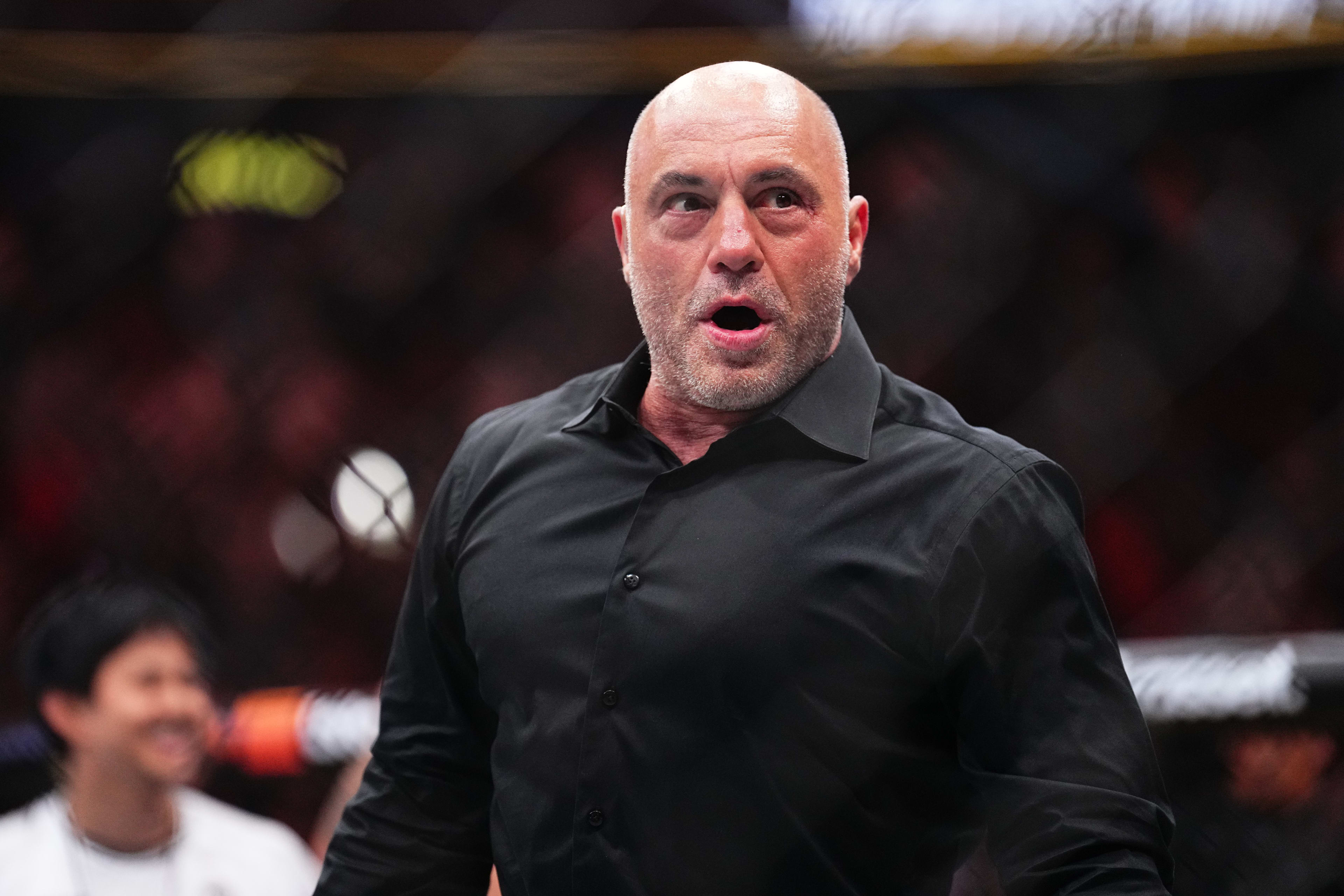 Joe Rogan Announces 'Adorable' New Addition to His Family - Men's Journal