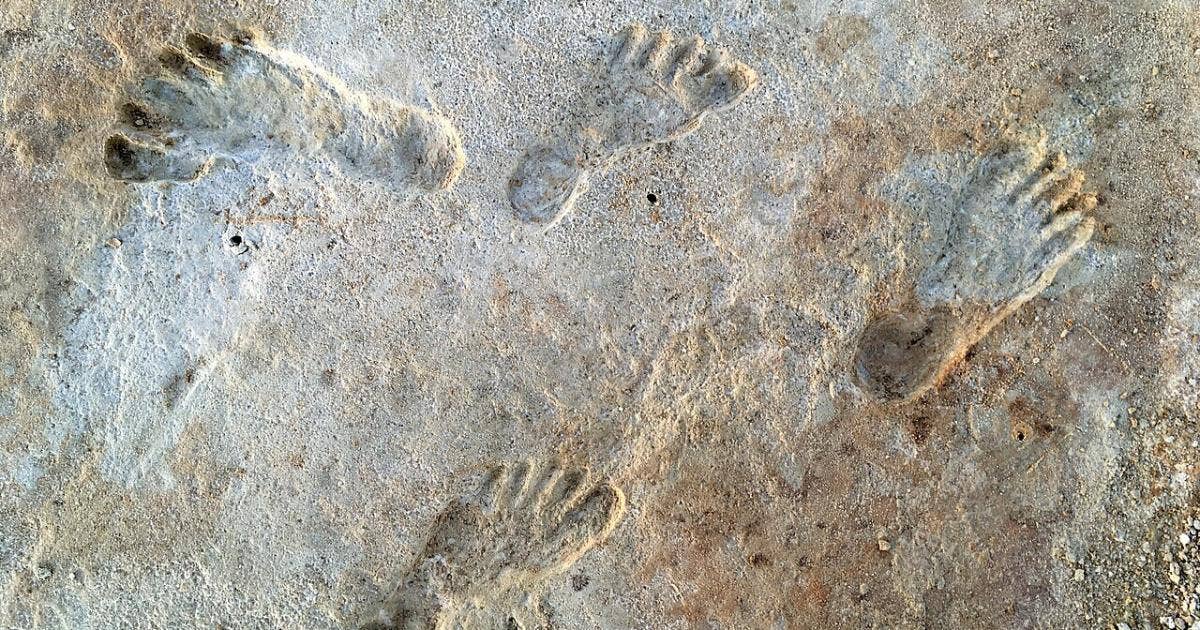 Discovered Footprints Dramatically Redate Peopling of the Americas ...