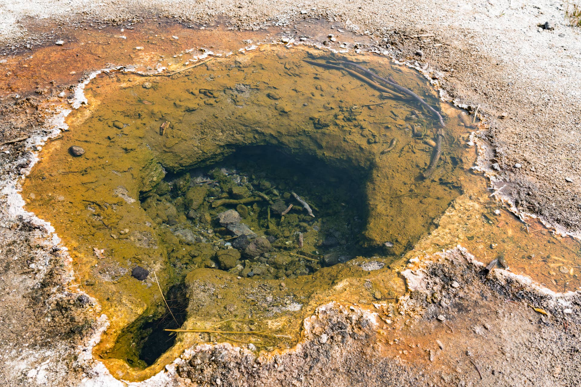 Yellowstone Tourist Slammed for Incredibly Dangerous Decision at ...