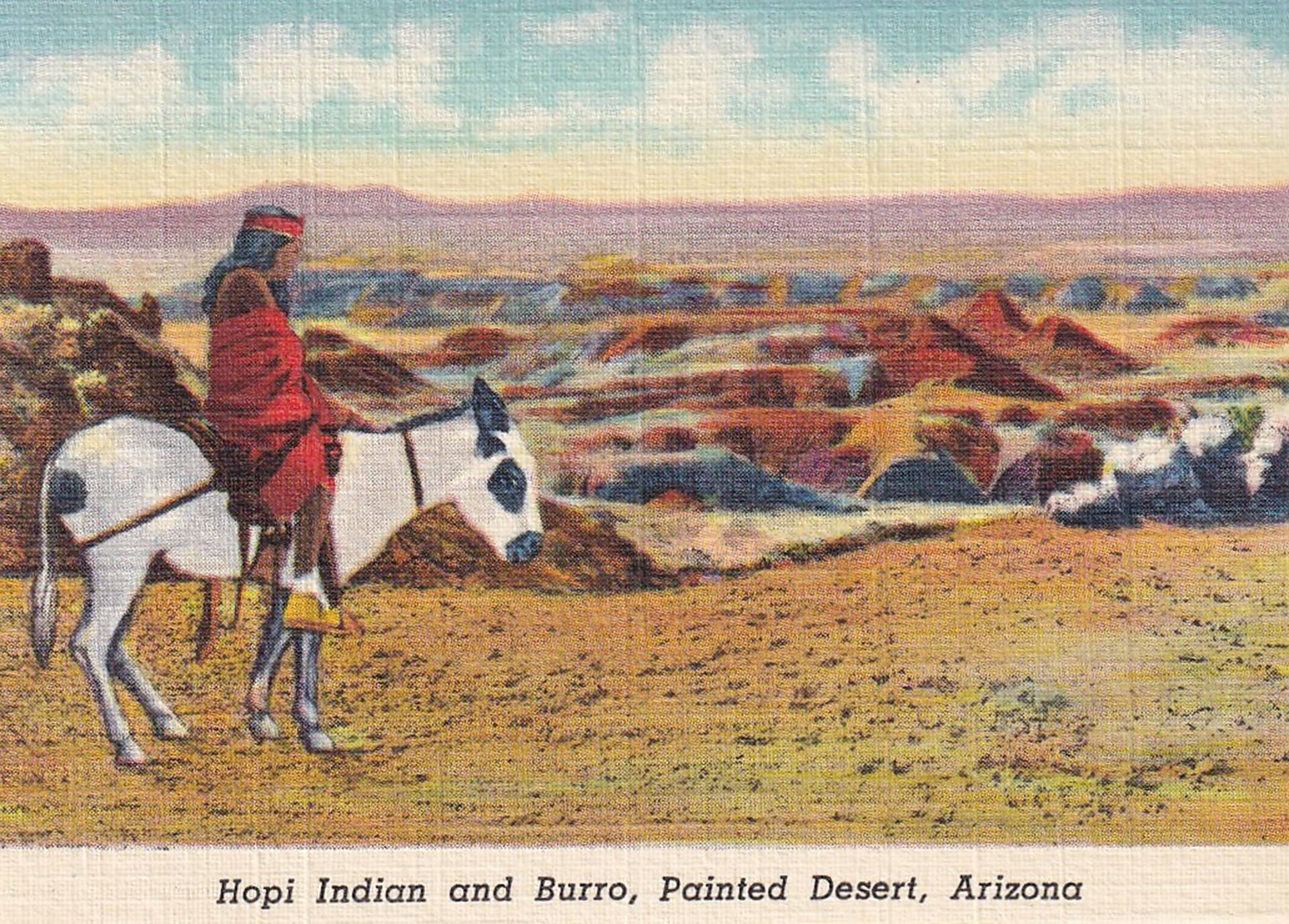 Historic Grand Canyon Burro Statue Survives Deadly Wildfires - Men's ...