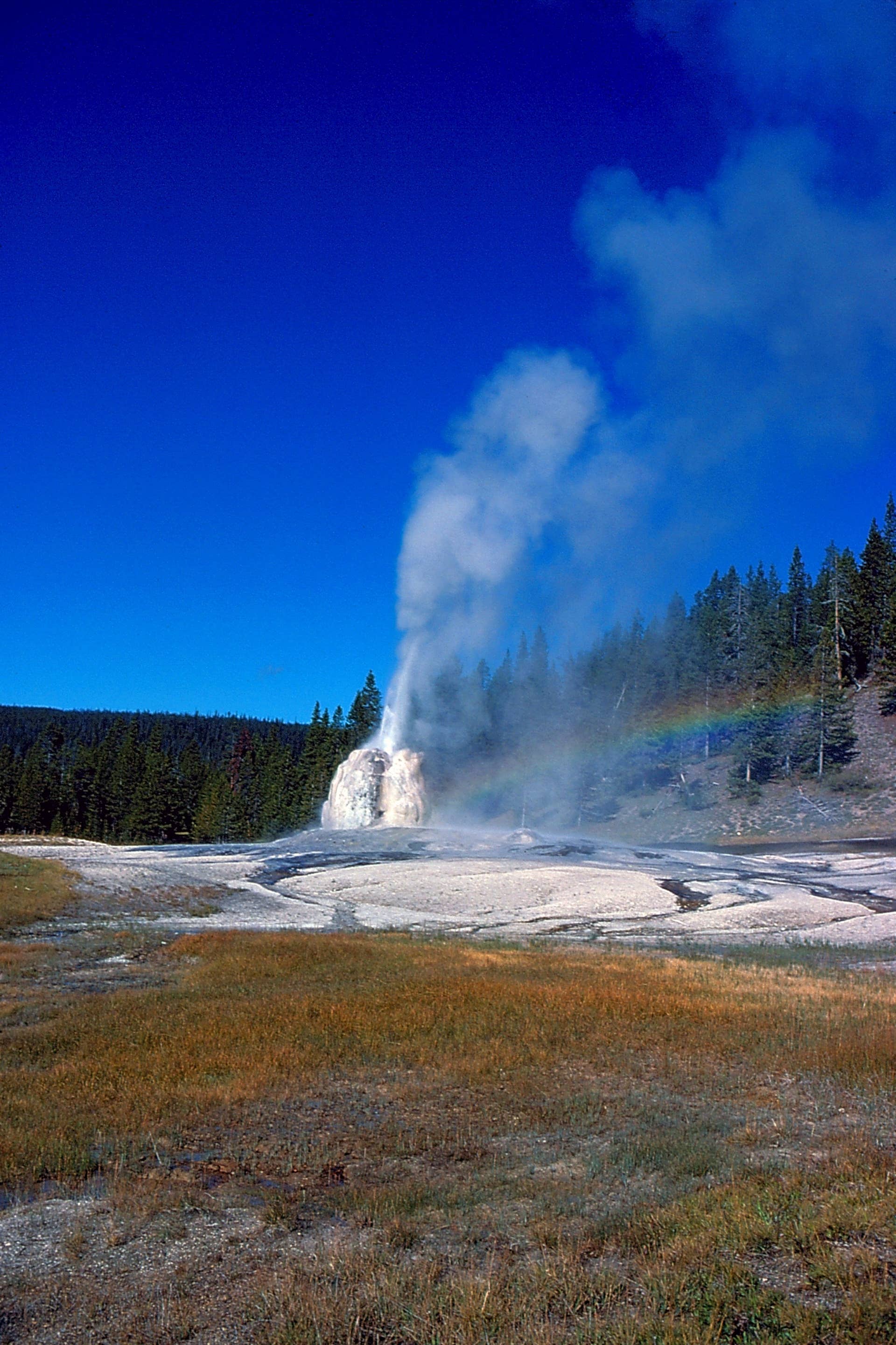Tourist Falls Into Yellowstone Geyser, Gets Thermal Burns - Men's Journal