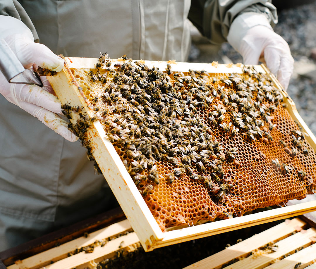 75 Best Hobbies for Men to Enhance Your Life - Men's Journal