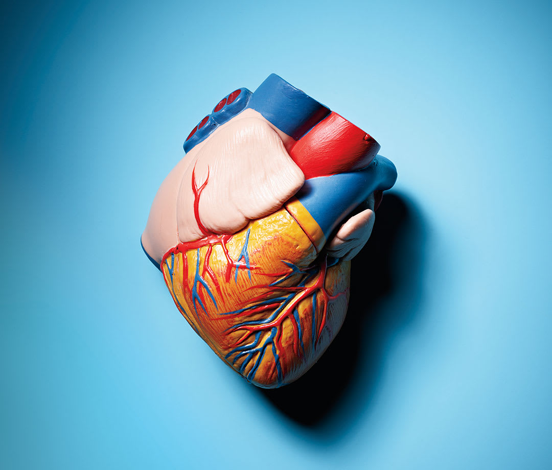 What Happens When You Stop Working Out - Men's Journal