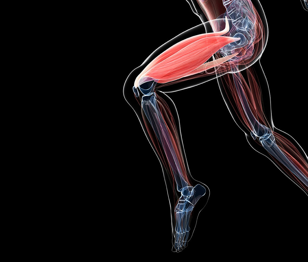 50 Best Quad Exercises of All Time - Men's Journal