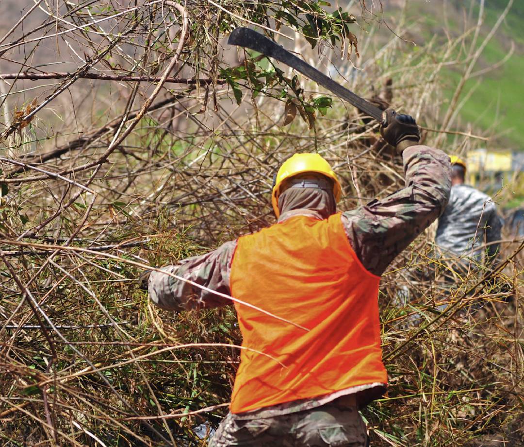 Best Machetes of 2025, Tested and Reviewed - Men's Journal