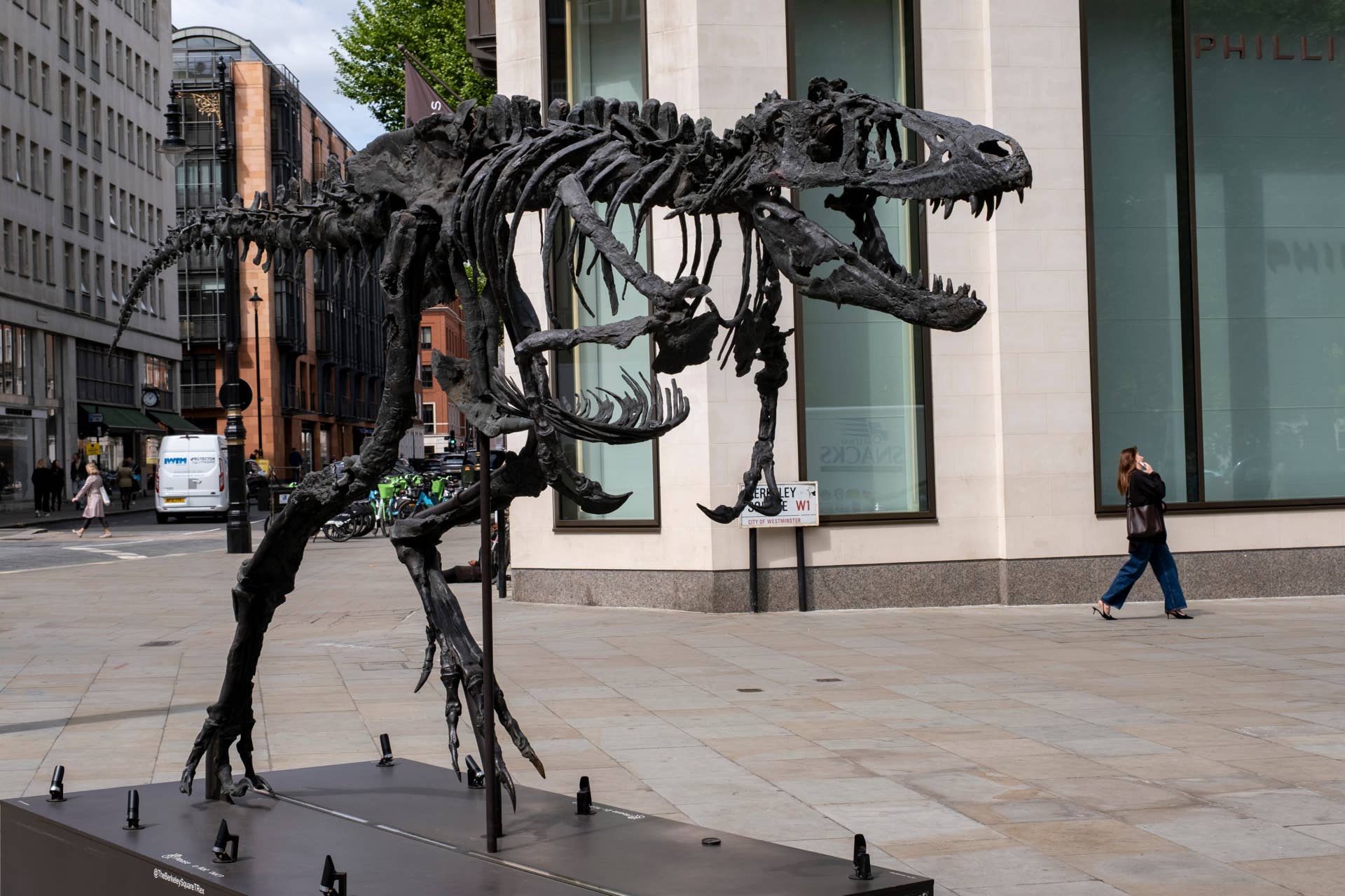Scientists Make Major T. Rex Discovery, Rewriting History of the Most ...