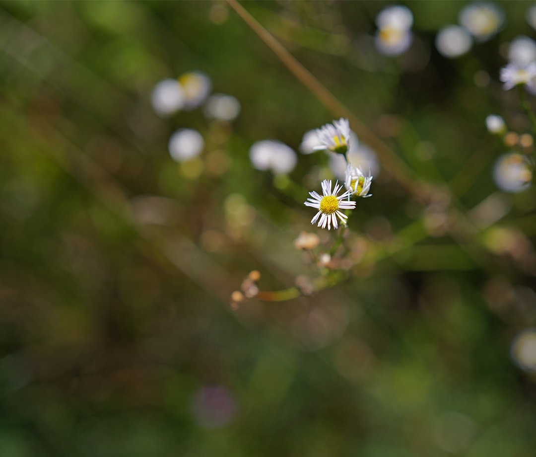 Leica Q3 43 Review: Sharp, Pricey, and Powerful - Men's Journal