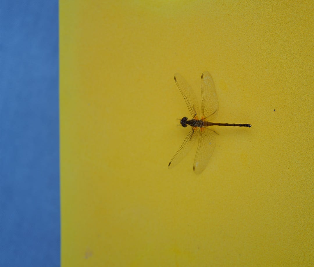 Leica Q3 43 Review: Sharp, Pricey, and Powerful - Men's Journal