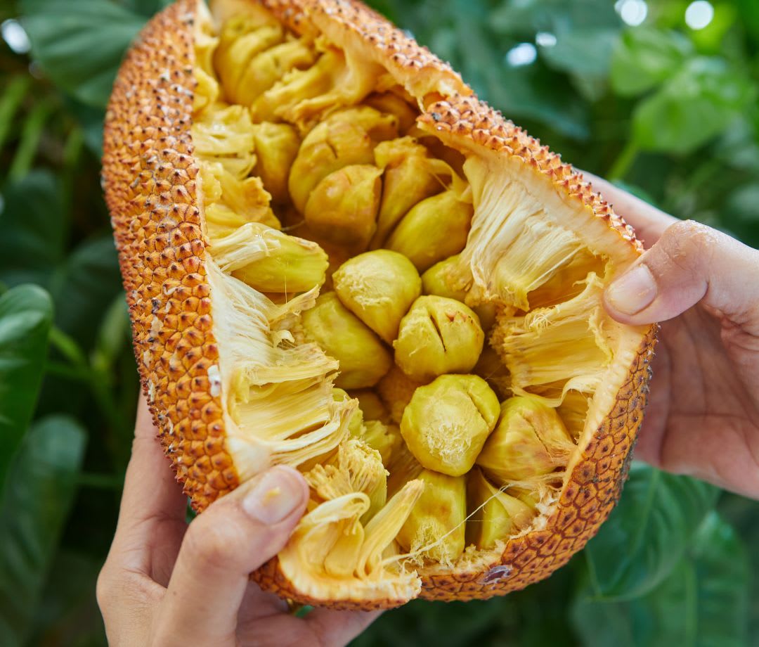 Top High-Protein Fruits to Fuel Muscle and Recovery - Men's Journal