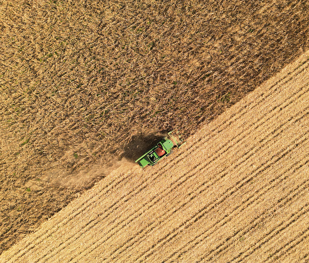 Jimmy Red Corn: The Heirloom Grain Reviving American Bourbon - Men's ...