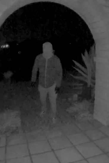 Nancy Guthrie Suspect Photo Analysis: Experts Provide Chilling New ...