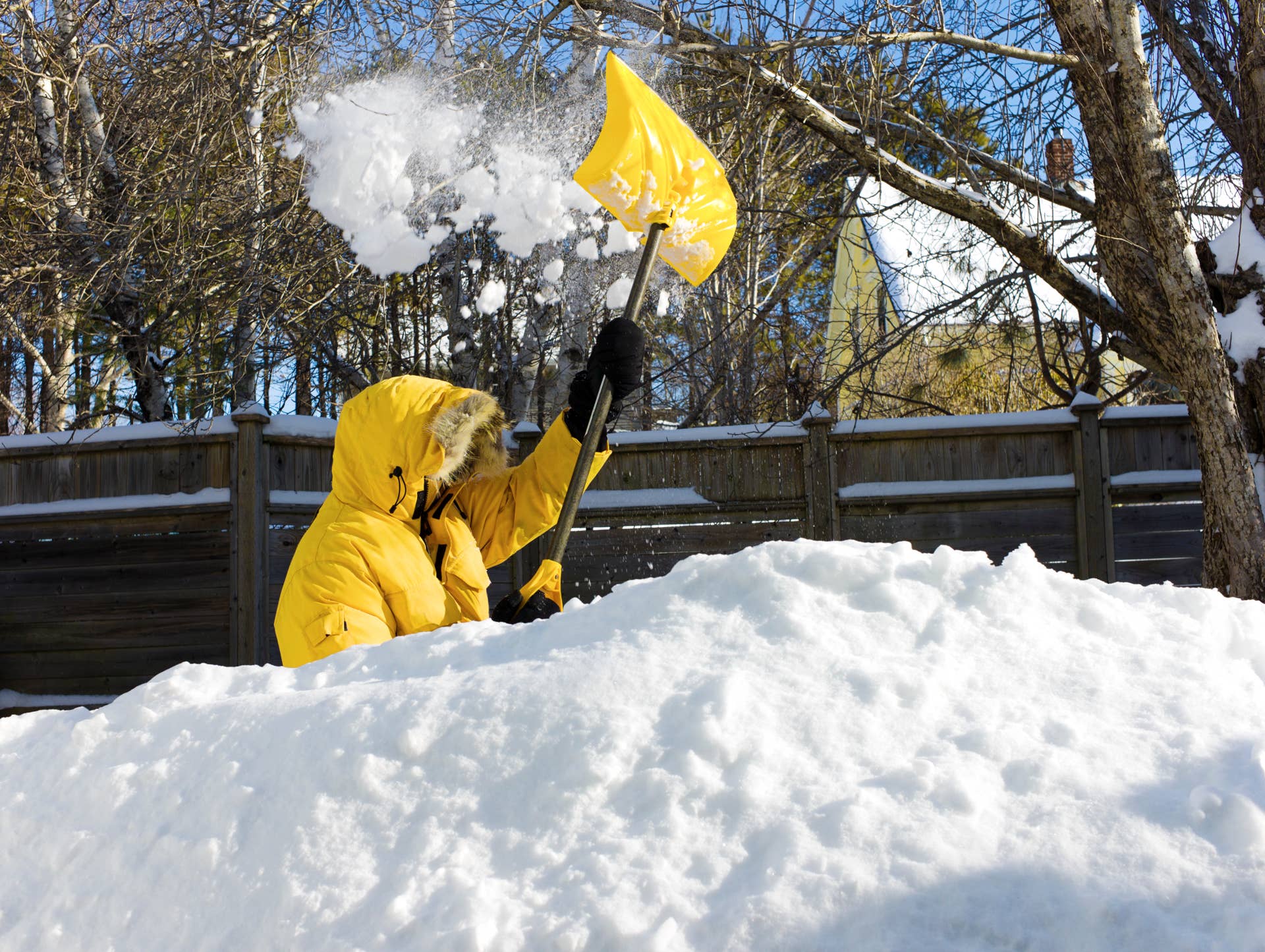 95 MPH Winds 20 Inches Snow Brutal Winter Storm Warnings Multiple ...
