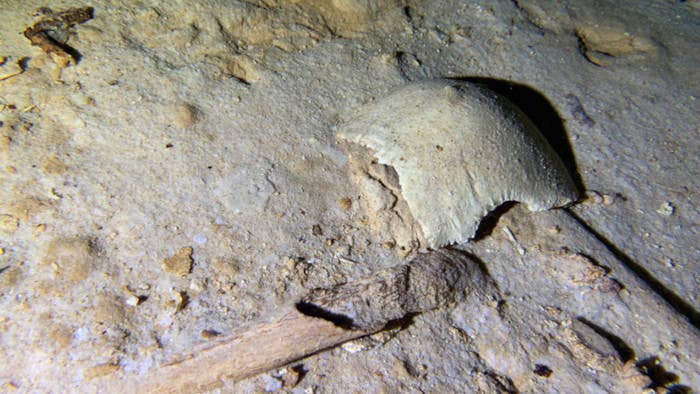 8,000-Year-Old Skeleton Found in Underwater Caves Reveals Ancient ...