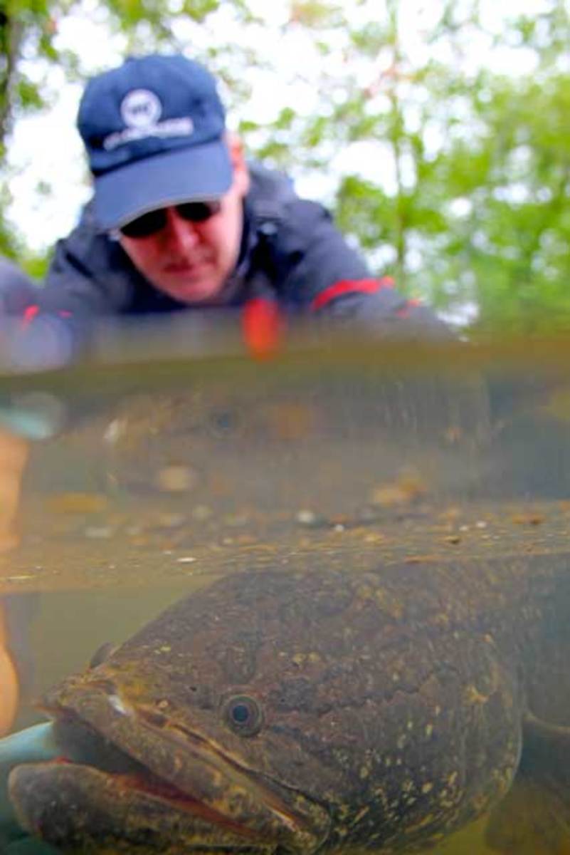 Interview With Snakehead Charmer Joe Bruce - Men's Journal