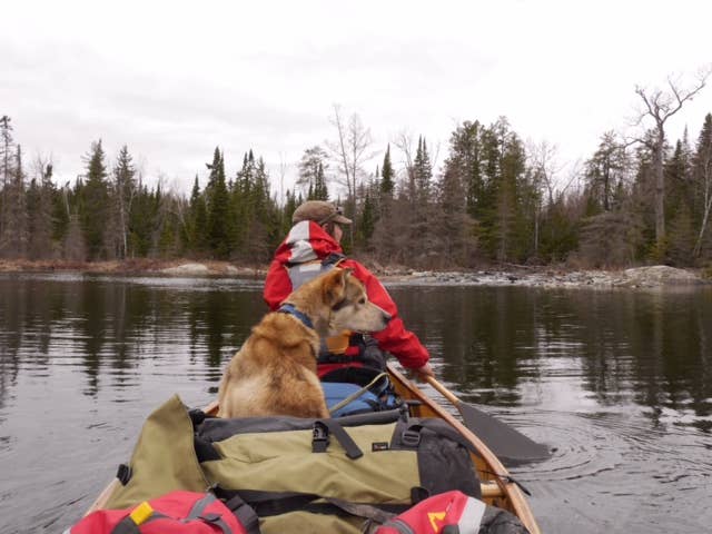 Canoeing with Dogs - Men's Journal