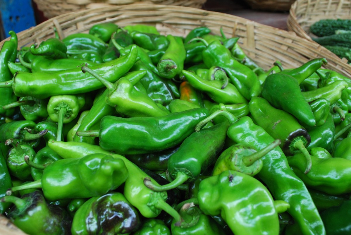 5 reasons to visit Taos, New Mexico | GrindTV.com