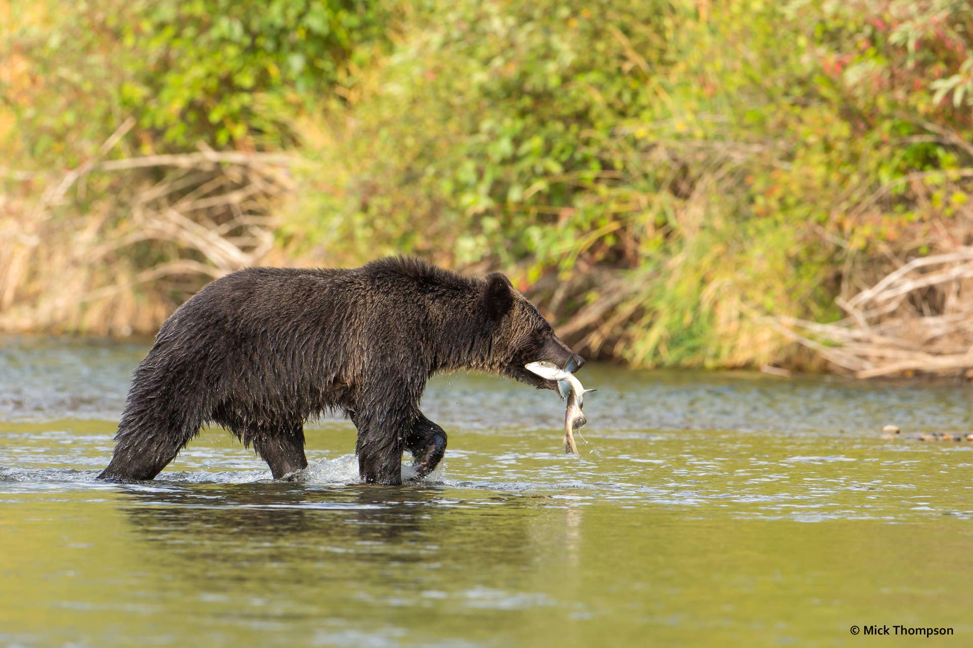 Where to eat, play and stay in Bella Coola, British Columbia | Men's ...