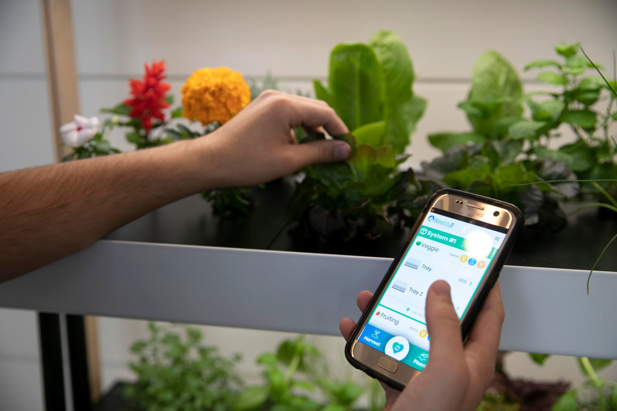 This Indoor Garden System Is the Perfect Solution for All Gardeners