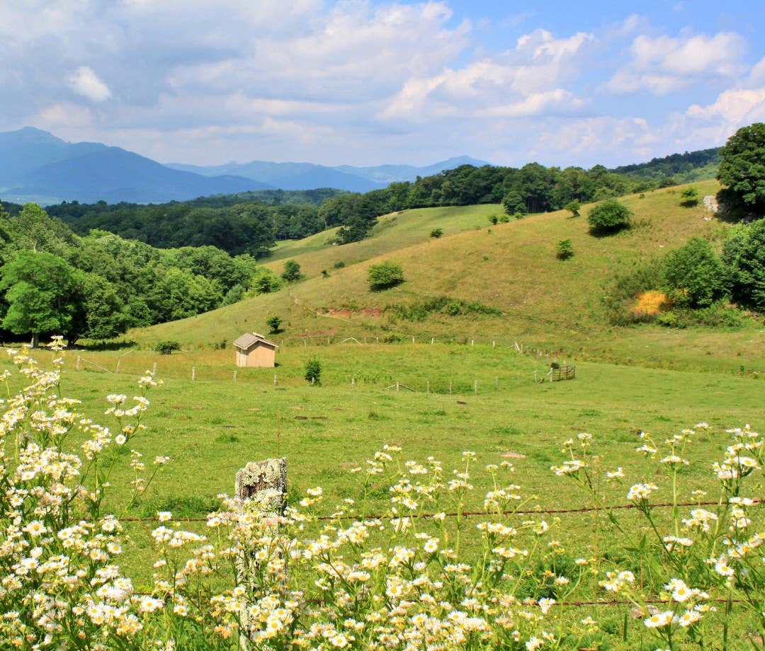 Best Running Trails With Scenic Views in America – Wellness prop