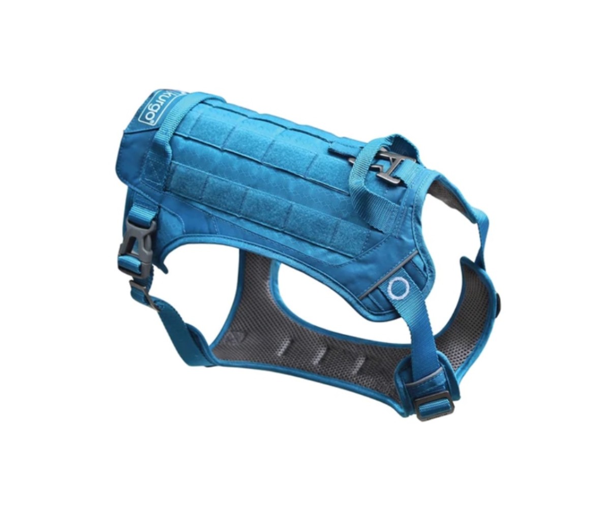 Best Dog Gear for Camping, Hiking, and Outdoor Adventure